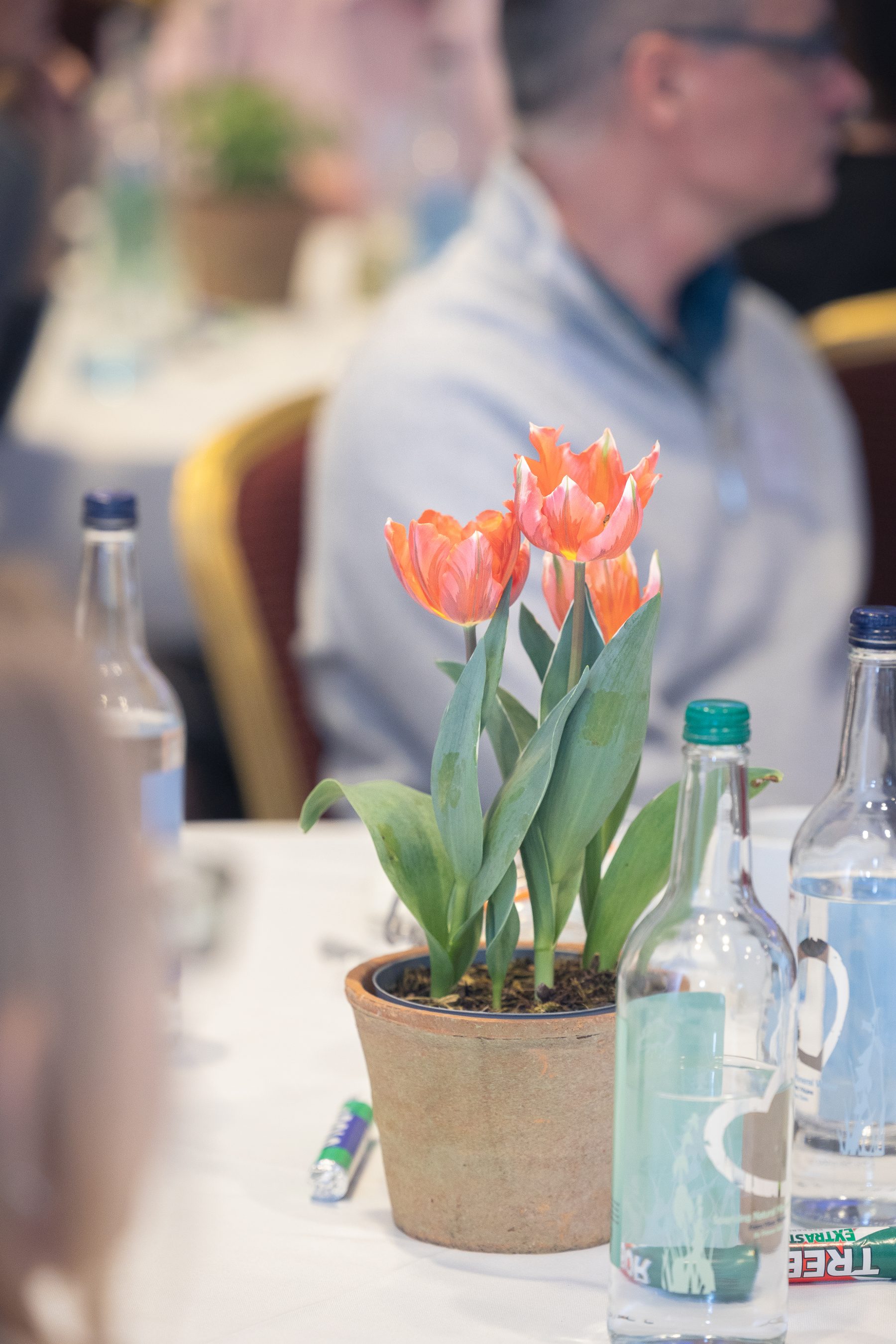 Making Difference Work Unconference* - Apply Psychology